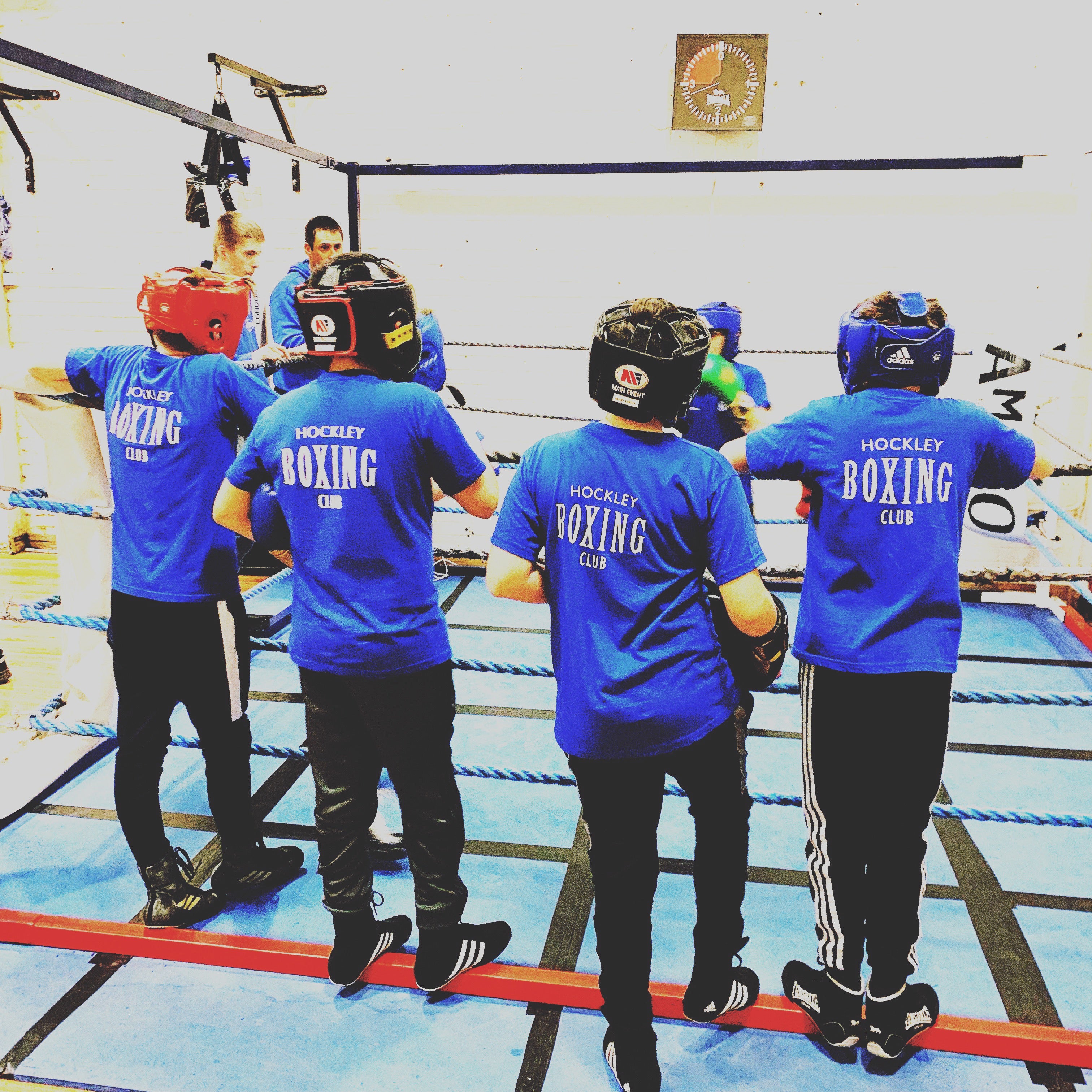 HBC Memberships – Hockley Boxing Club